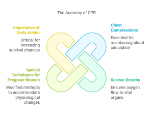 CPR for Pregnant Woman: Life-Saving Techniques for Mother & Baby